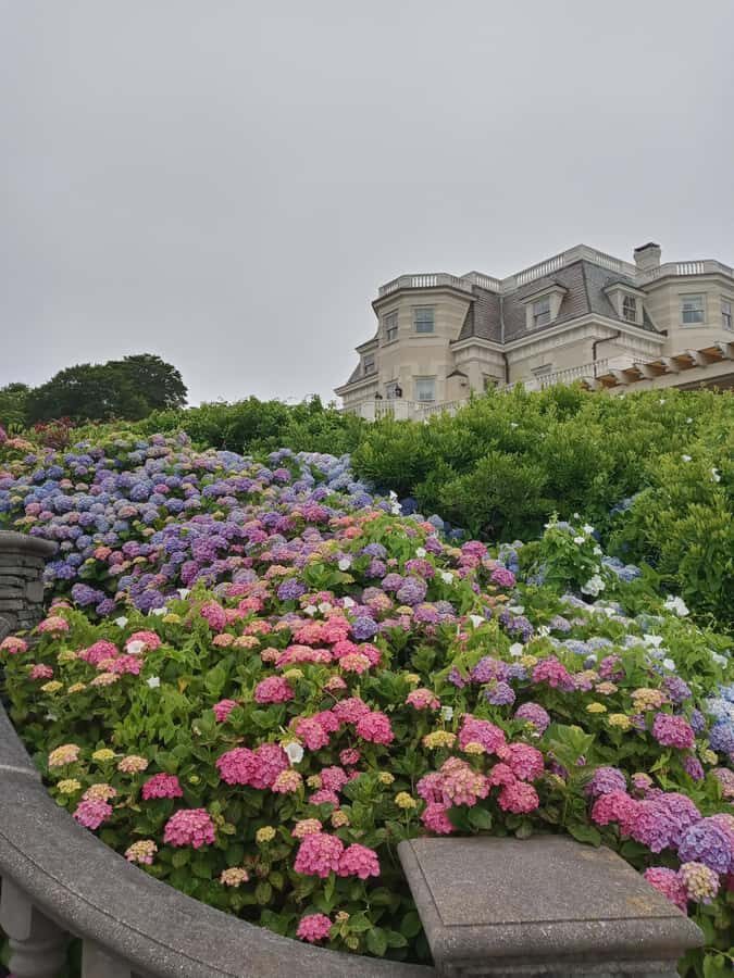 Historic Highlights of Newport,RI with with the Gilded Age - Why This Tour Is a Great Choice