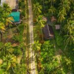 Historical 18th Century Estate Tour with Coconut Tasting - Cocoa, Coconut, and Sugar: Live Demonstrations