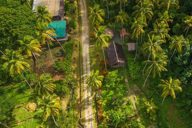 Historical 18th Century Estate Tour with Coconut Tasting - Cocoa, Coconut, and Sugar: Live Demonstrations