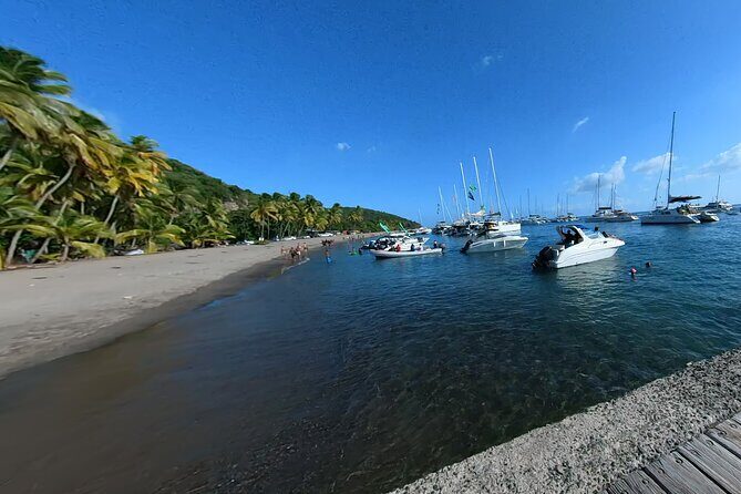 Historical and Panoramic Tour along Caribbean Coast and in Tropical Forest - Why the Price Offers Good Value