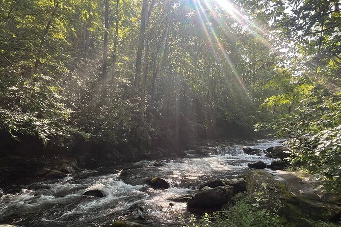Historical Hikes in the Great Smoky Mountains National Park - Who Should Consider This Tour?