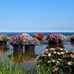 Hitachi Seaside Park and Mito Highlights Tour - Authentic Experiences That Stand Out
