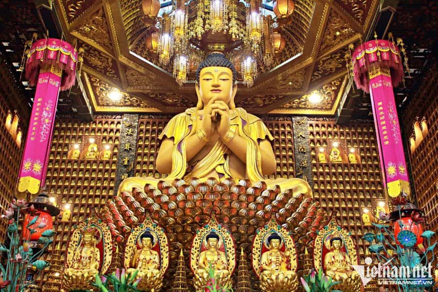 Ho Chi Minh City: Cu Chi Tunnels  Underground Secrets - What Makes This Tour Stand Out?