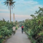 Ho Chi Minh Half day Green Oasis Bike Experience - A Well-Structured Itinerary for Authentic Experiences