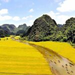 Hoa Lu Tam Coc Cycling 1 Day Trip From Ha Noi - Final Thoughts: Is This Tour Worth It?