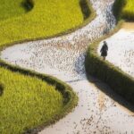 Hoang Su Phi Loop 4 Day Motorbike and Hiking Tour - What We Think