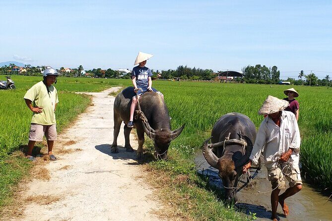 Hoi An Basket Boat and Cooking Class at Tra Nhieu Eco Village - Practical Details and Value