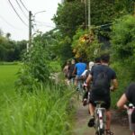 Hoi An Countryside Craft Villages Bike Tour | Joyful & Safe - What to Expect from the Tour