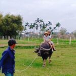 Hoi An Countryside Tour with 3 Local Villages by Army Jeep or Private Car - Who Will Enjoy This Tour?