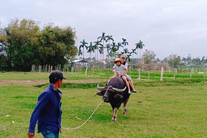 Hoi An Countryside Tour with 3 Local Villages by Army Jeep or Private Car - Who Will Enjoy This Tour?