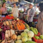 Hoi An Cultural Tour: My Son & Cooking Class in Cam Thanh Village - Exploring the Day: What You’ll Actually Do