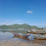 Hoi An: Day-Trip to Hue Imperial City, Royal Tombs & Pagoda - What Makes This Tour Stand Out?