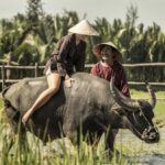 Hoi An : Eco Bicycle Tour with Fishing and Lunch/Dinner - Value and Practical Tips