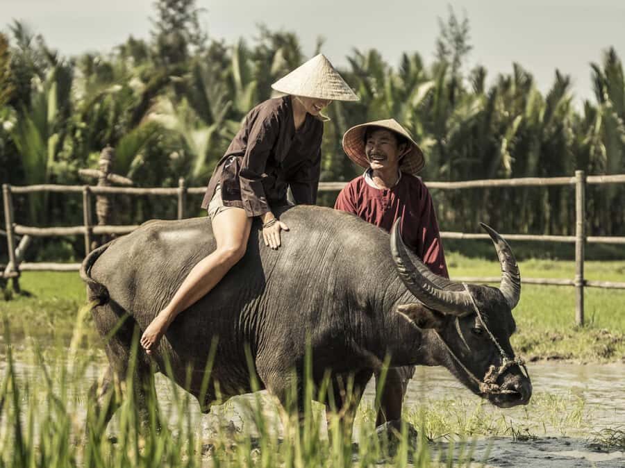 Hoi An : Eco Bicycle Tour with Fishing and Lunch/Dinner - Value and Practical Tips
