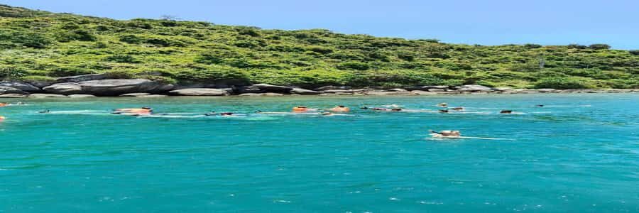 Hoi An snorkeling by speedboat at Cham Island - Practical Tips for Making the Most of the Tour