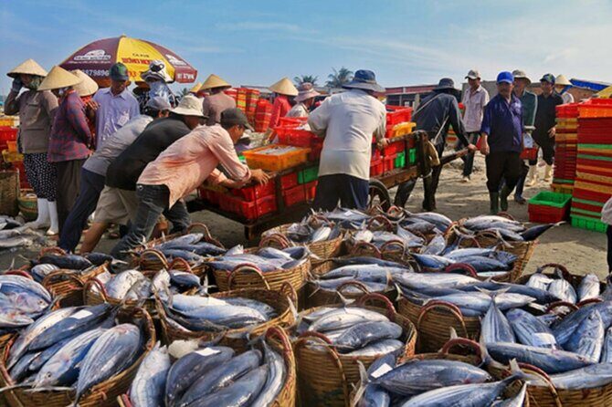 Hoi An Sunrise Fish Market Tour - Practical Details and What You Get