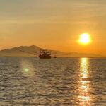 Hoi An: Sunrise Moment on Thu Bon River&Duy Hai Fish Village - How the Day Unfolds: A Step-by-Step Look at the Tour