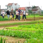 Hoi An: Tra Que Herb Village Cooking Class - The Experience’s Strengths