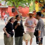 Hoi An: Walking Tour - Japanese Bridge & Fujian Hall - A detailed look at the tour experience