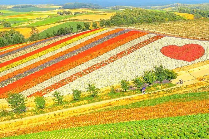 Hokkaido, Asahikawa Zoo Classic Day Tour With Optional Snomobile - Why This Tour Works Well for Travelers