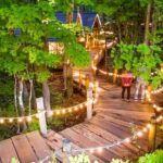 Hokkaido Asahiyama Zoo, Biei & Ningle Terrace Day Tour | Hokkaido - An In-Depth Look at the Itinerary