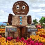 Hokkaido: Asahiyama Zoo, Furano, and Ningle Terrace Tour - What Travelers Are Saying