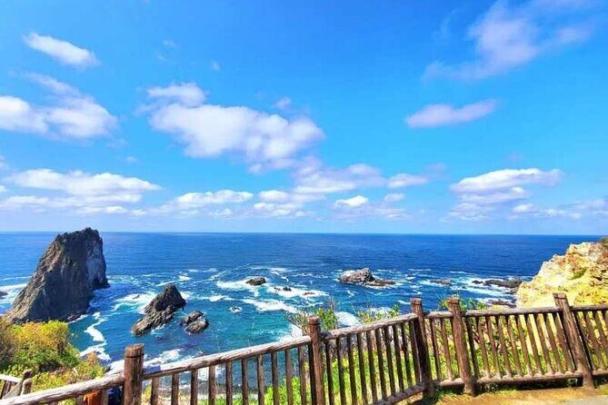 Hokkaido Cape Kamui Shimamui Coast Otaru Day Tour from Sapporo - The Value Proposition
