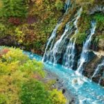 Hokkaido Day Trip From Sapporo, Asahiyama Zoo to Ningle Terrace - FAQ