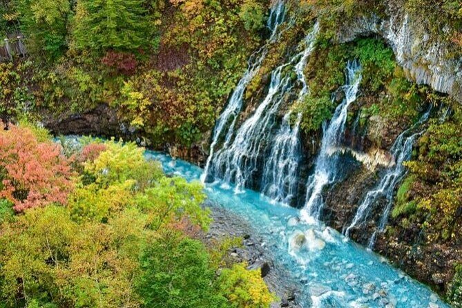 Hokkaido Day Trip From Sapporo, Asahiyama Zoo to Ningle Terrace - FAQ