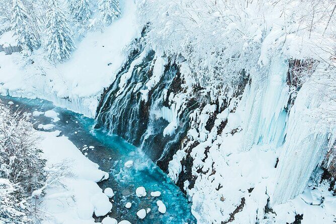 Hokkaido Tour, Asahiyama Zoo, Christmas Tree and Biei Green Pond - The Logistics and Value