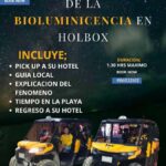 Holbox: Bioluminescence Tour in Canam - What We Loved About This Tour