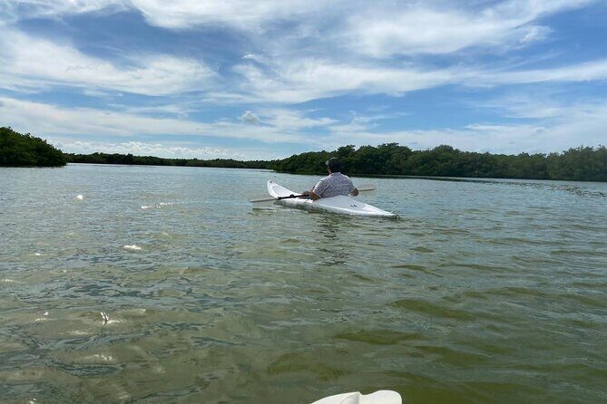 Holbox : Kayaking through Mangroves - What Travelers Are Saying