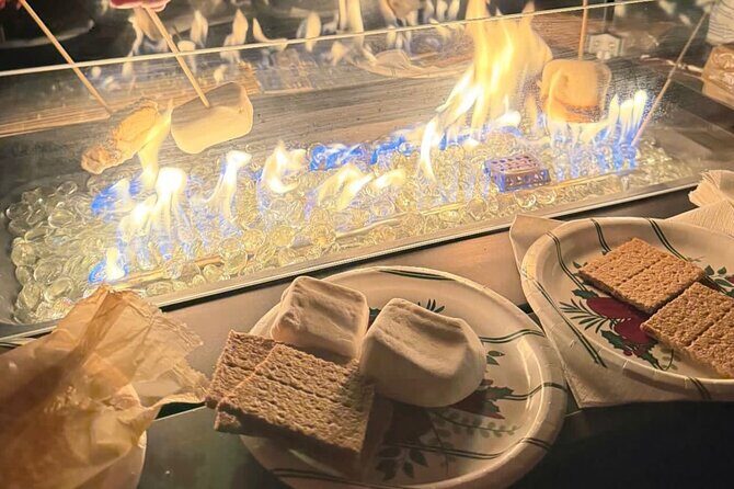 Holiday Light Cruise Plus S'mores Fire Pit Experience - What Travelers Can Expect