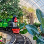 Holiday Train Show All-Garden Pass - The Value of the Experience