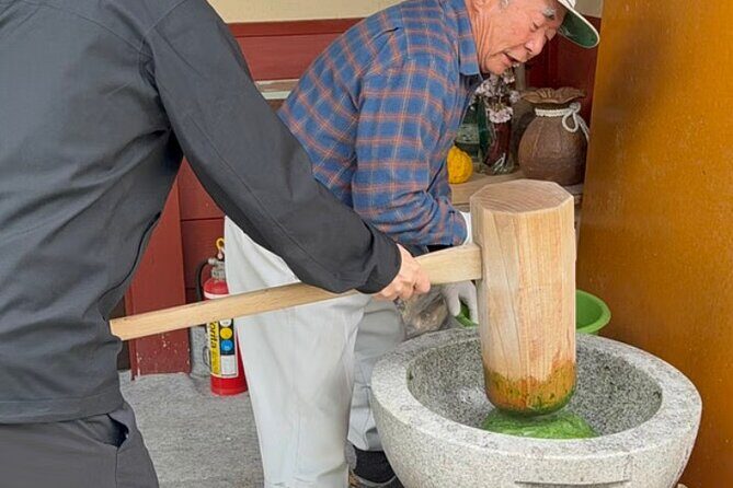 Home Visit and Mochi Pounding Experience near Kyoto - Who Will Enjoy This Tour?