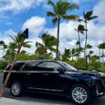Honolulu Airport Transfer to Waikiki, Kahala & Cruise Ship Port - Real-World Perspectives