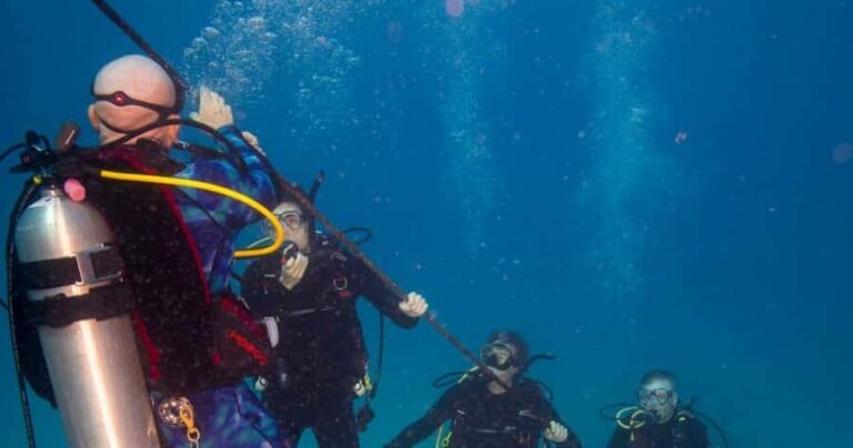 Honolulu: Discover Scuba Diving Experience with Gear - Who Should Consider This Experience?