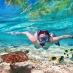 Honolulu Sailing and Snorkeling Activity - The Itinerary in Detail