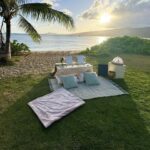 Honolulu: Secluded Beachside Luxury Picnic & Painting - Detailed Breakdown of the Itinerary