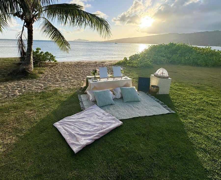 Honolulu: Secluded Beachside Luxury Picnic & Painting - Detailed Breakdown of the Itinerary