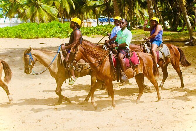 Horse Back Riding Adventure in Punta Cana - What to Expect During Your Ride