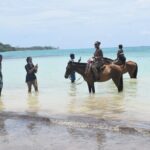 Horse Back Riding and Blue Hole From Montego Bay - Why This Tour Stands Out