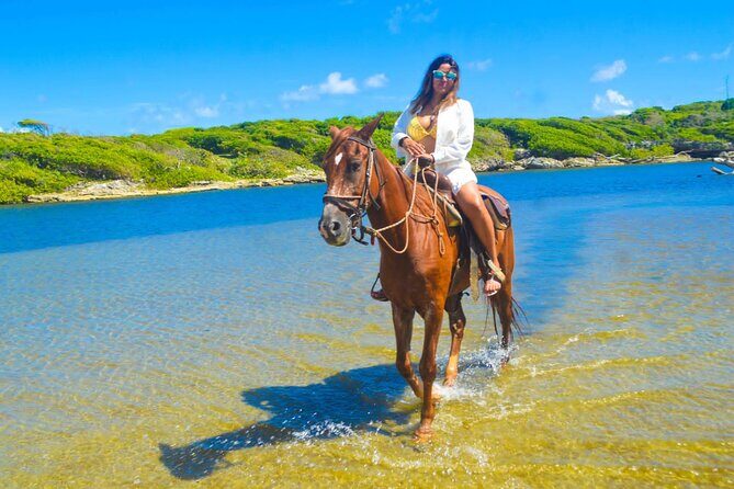 Horse back riding (Punta Cana/Bavaro) - Real-World Insights from Reviews