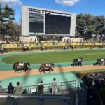 Horse Racing Tour with Local Fans in Nakayama Racecourse - Analyzing the Value