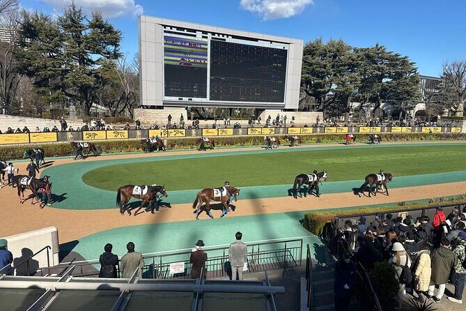 Horse Racing Tour with Local Fans in Nakayama Racecourse - Analyzing the Value