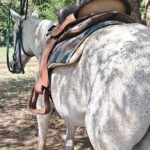 Horse Ride and Hike Tour to Pigeon Island with Lunch with Dore's - The Logistics and Practicalities