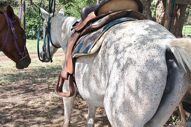 Horse Ride and Hike Tour to Pigeon Island with Lunch with Dore's - The Logistics and Practicalities