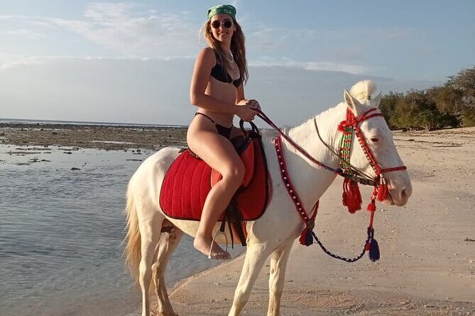 Horse Ride On The Beach Gili Islands - What You Can Expect from the Horseback Ride on Gili Trawangan