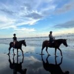Horse Riding Bali On pigstone beach, Rice Field and village Tour - Why Choose This Tour?