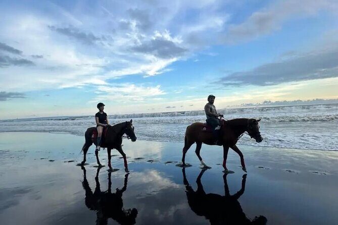 Horse Riding Bali On pigstone beach, Rice Field and village Tour - Why Choose This Tour?